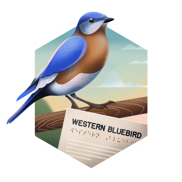 Build And Test Accessible Web Apps Testing Accessibility